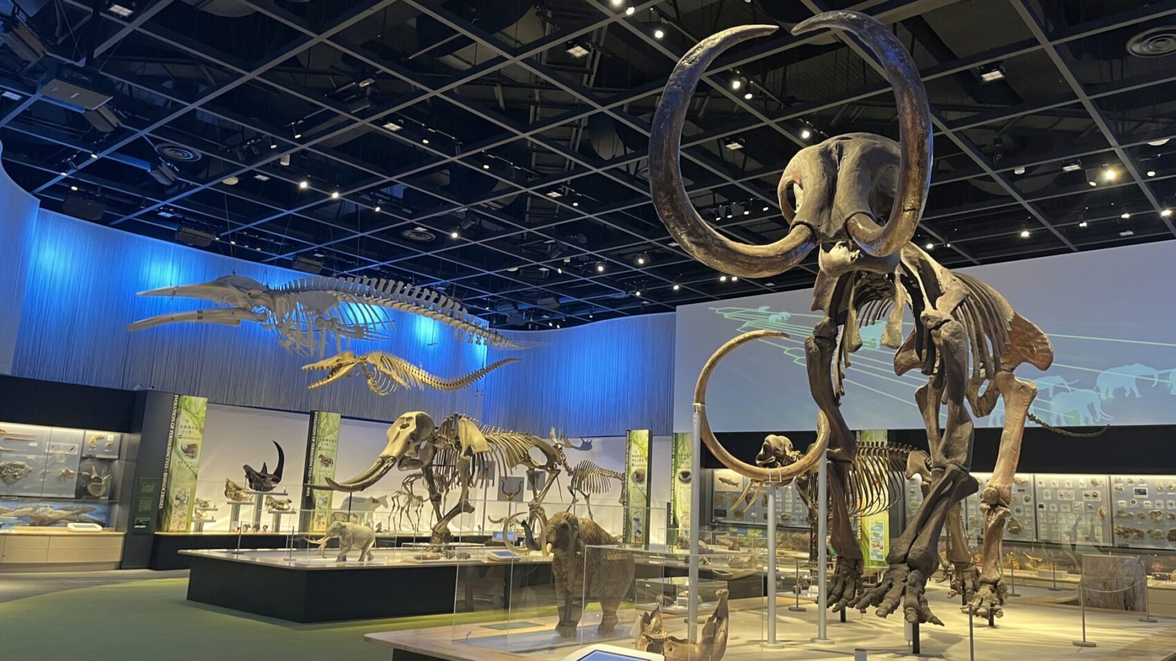 【愛知】雨の日デートにおすすめ！カップル向け人気スポット14選 | tabemaro（たべまろ）