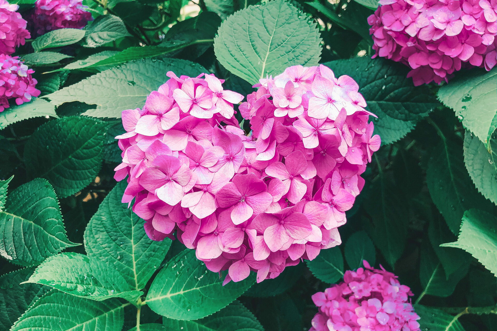 【愛知・名古屋】雨の日デートにおすすめ！カップル向け人気スポット22選 | tabemaro（たべまろ）