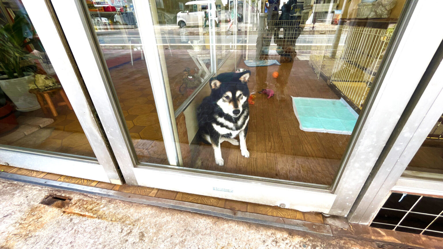 【豊橋市】水上ビルと昭和レトロを彷徨う | tabemaro（たべまろ）