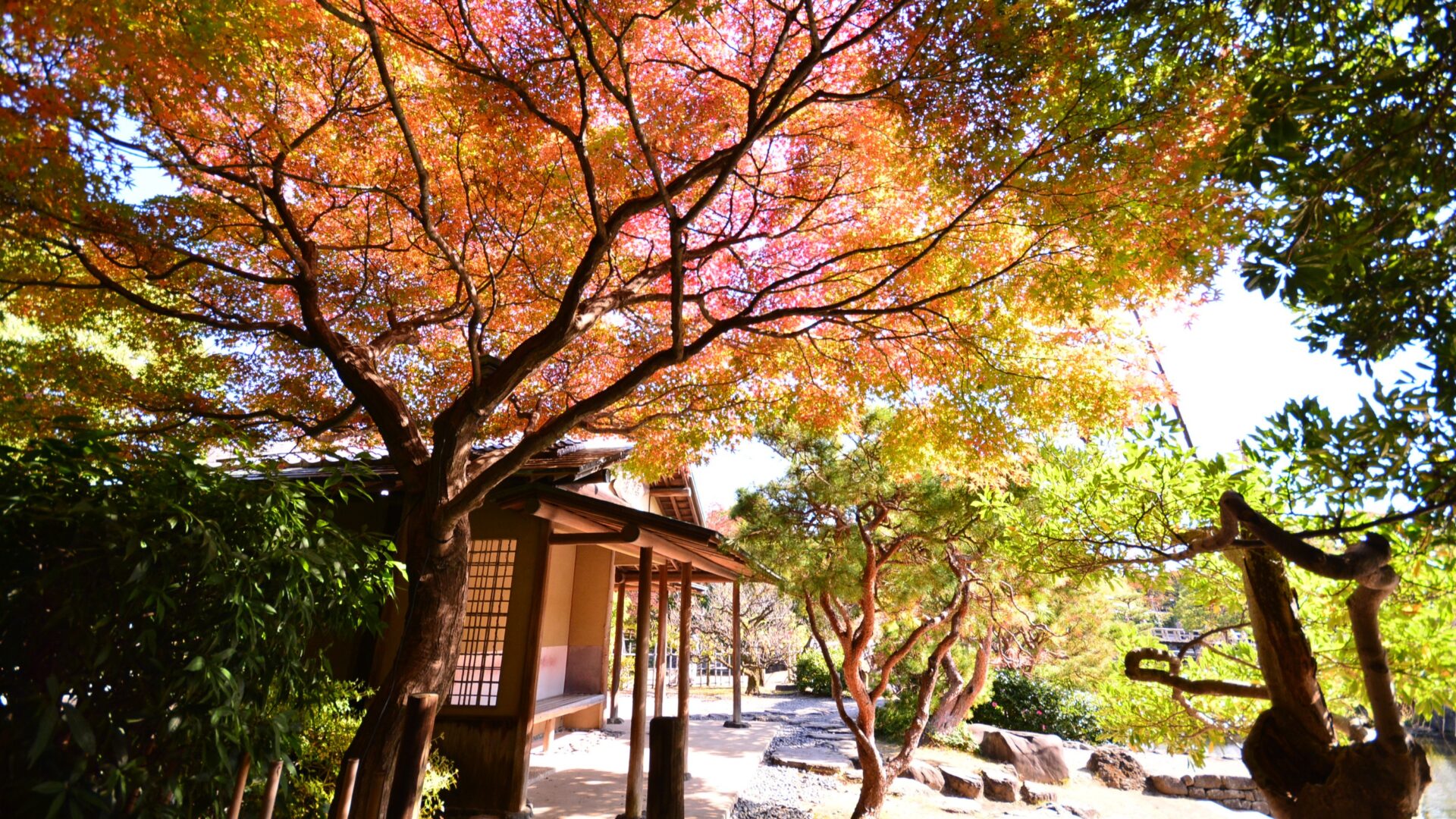 名古屋で女子旅！おすすめ観光スポット14選 | tabemaro（たべまろ）