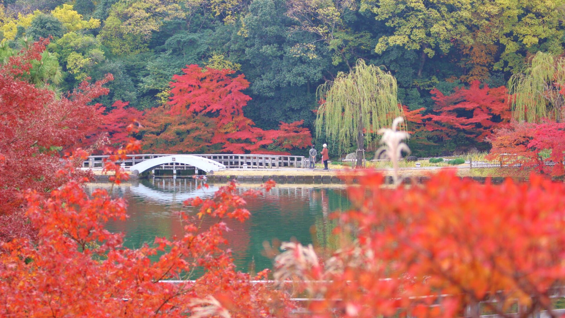 愛知・名古屋の日本庭園13選！四季折々の美しい庭園を見ながら癒されよう | tabemaro（たべまろ）