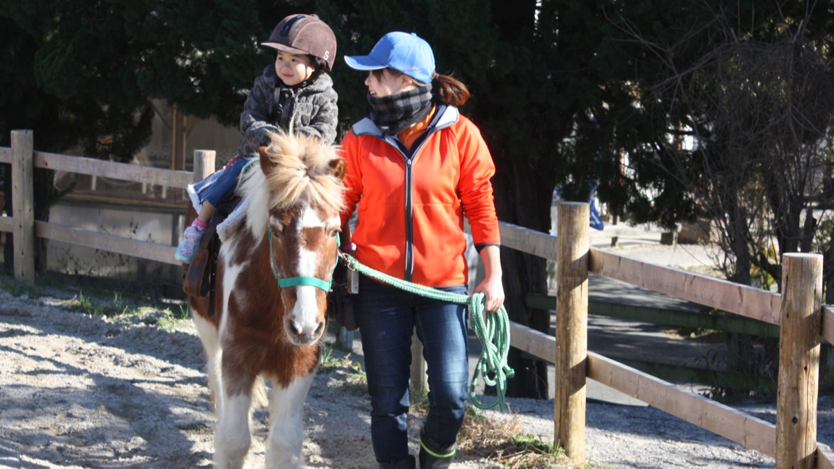 【秋編】愛知・名古屋の花畑！おすすめの名所8選 | tabemaro（たべまろ）