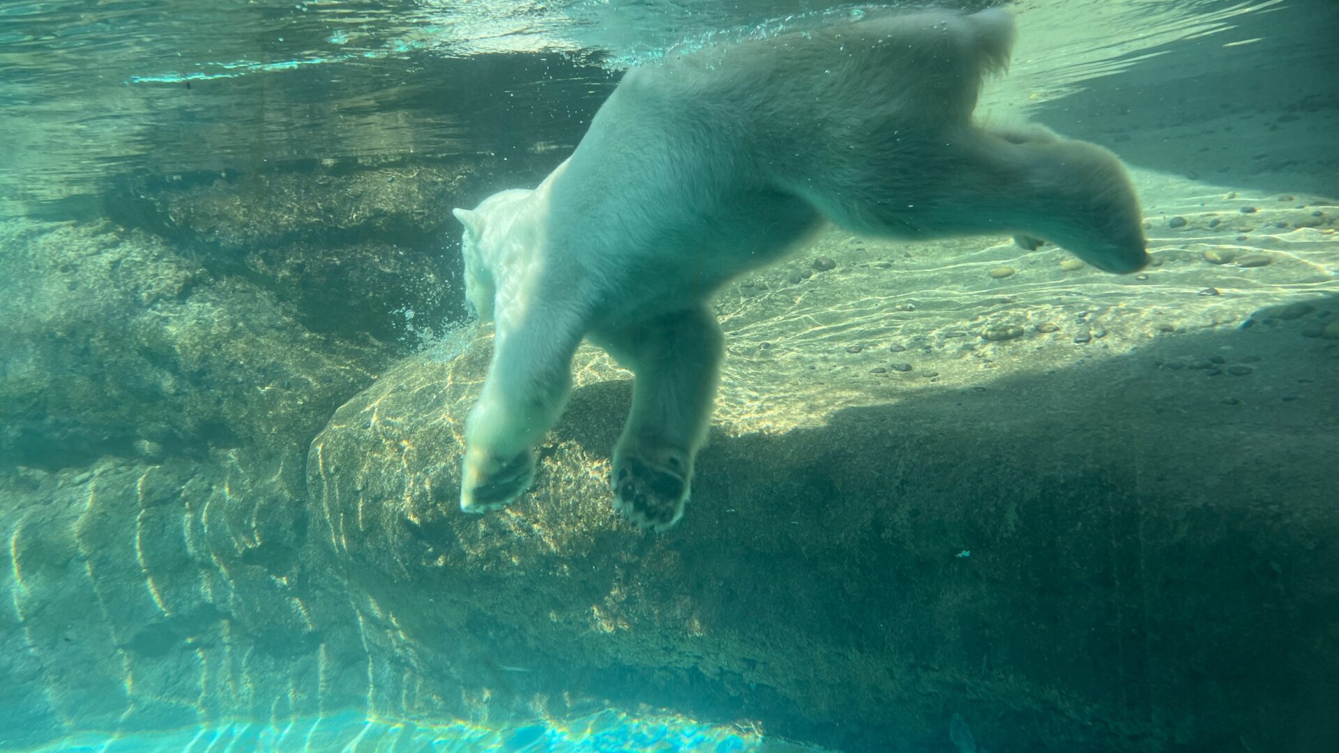 【豊橋市】のんほいパーク徹底レポート！見どころや駐車場・営業時間は？ | tabemaro（たべまろ）