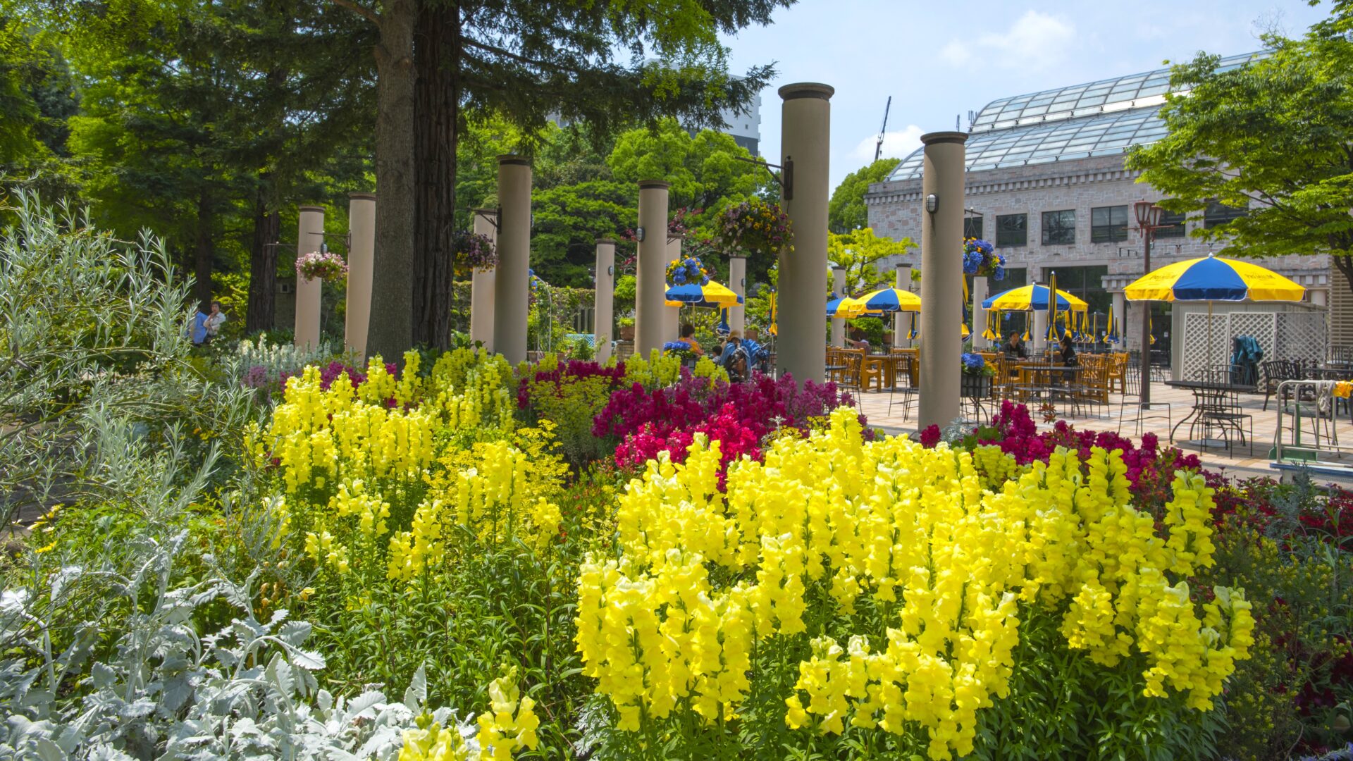 【春編】愛知・名古屋の花畑13選！菜の花や芝桜を楽しもう | tabemaro（たべまろ）