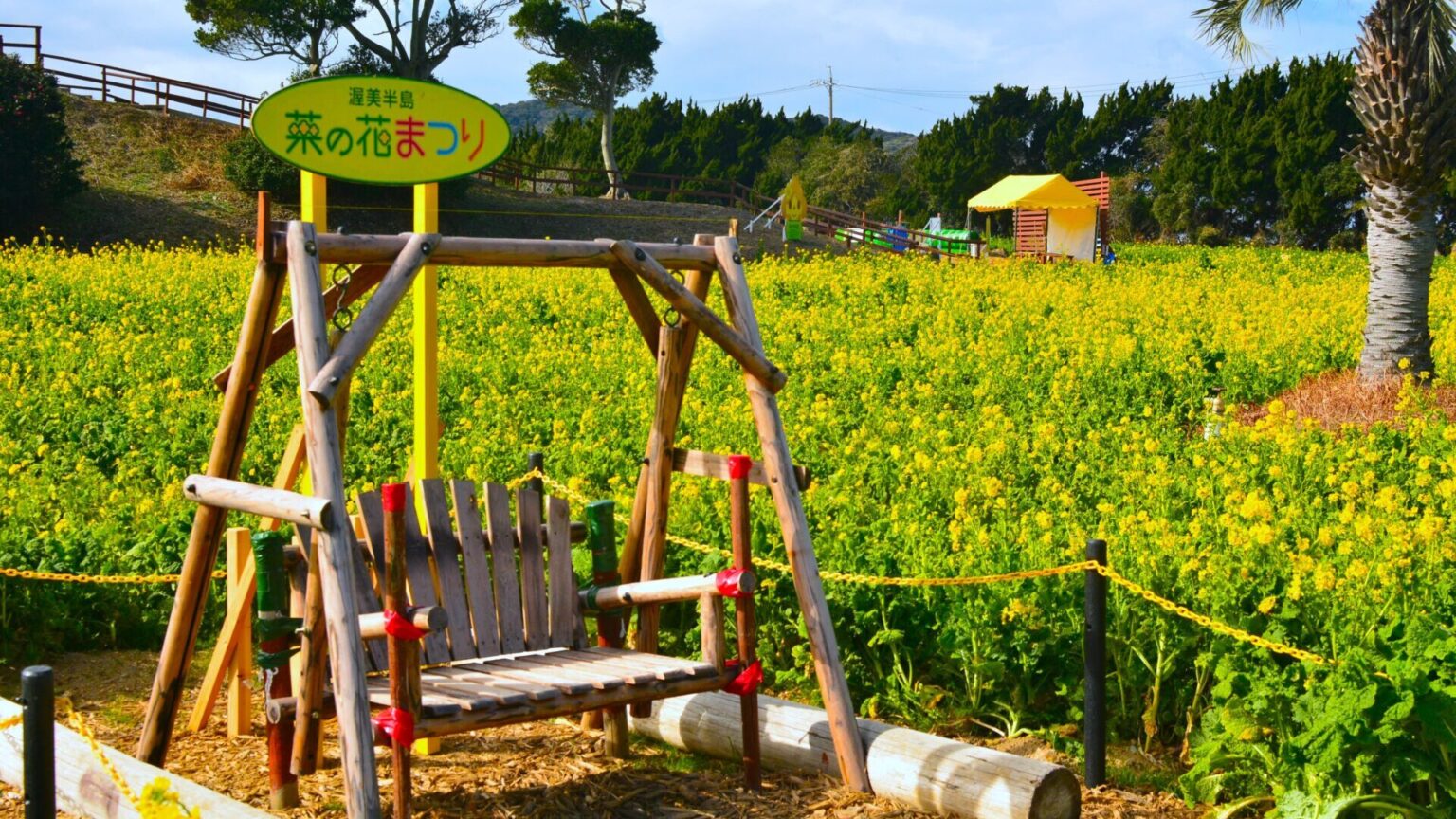 【田原市】渥美半島菜の花まつり2026 見どころやアクセス・見頃を徹底紹介！ | tabemaro（たべまろ）