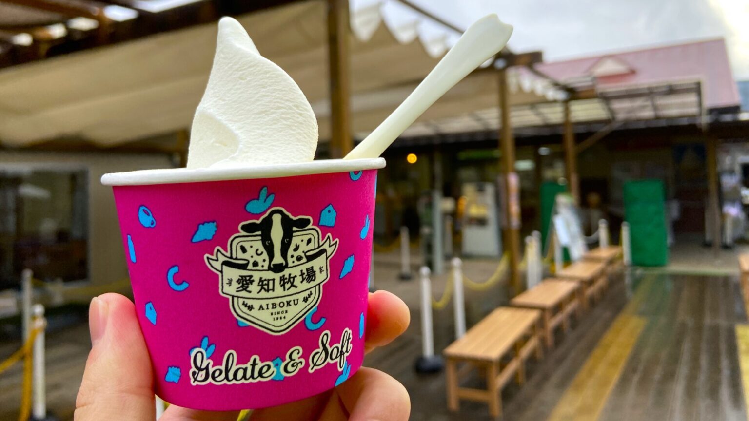 【春編】愛知・名古屋の花畑13選！菜の花や芝桜を楽しもう | tabemaro（たべまろ）