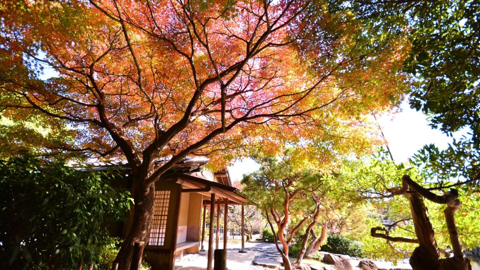 【愛知・名古屋】ノープランでも楽しい！1人旅におすすめの観光スポット17選 | tabemaro（たべまろ）