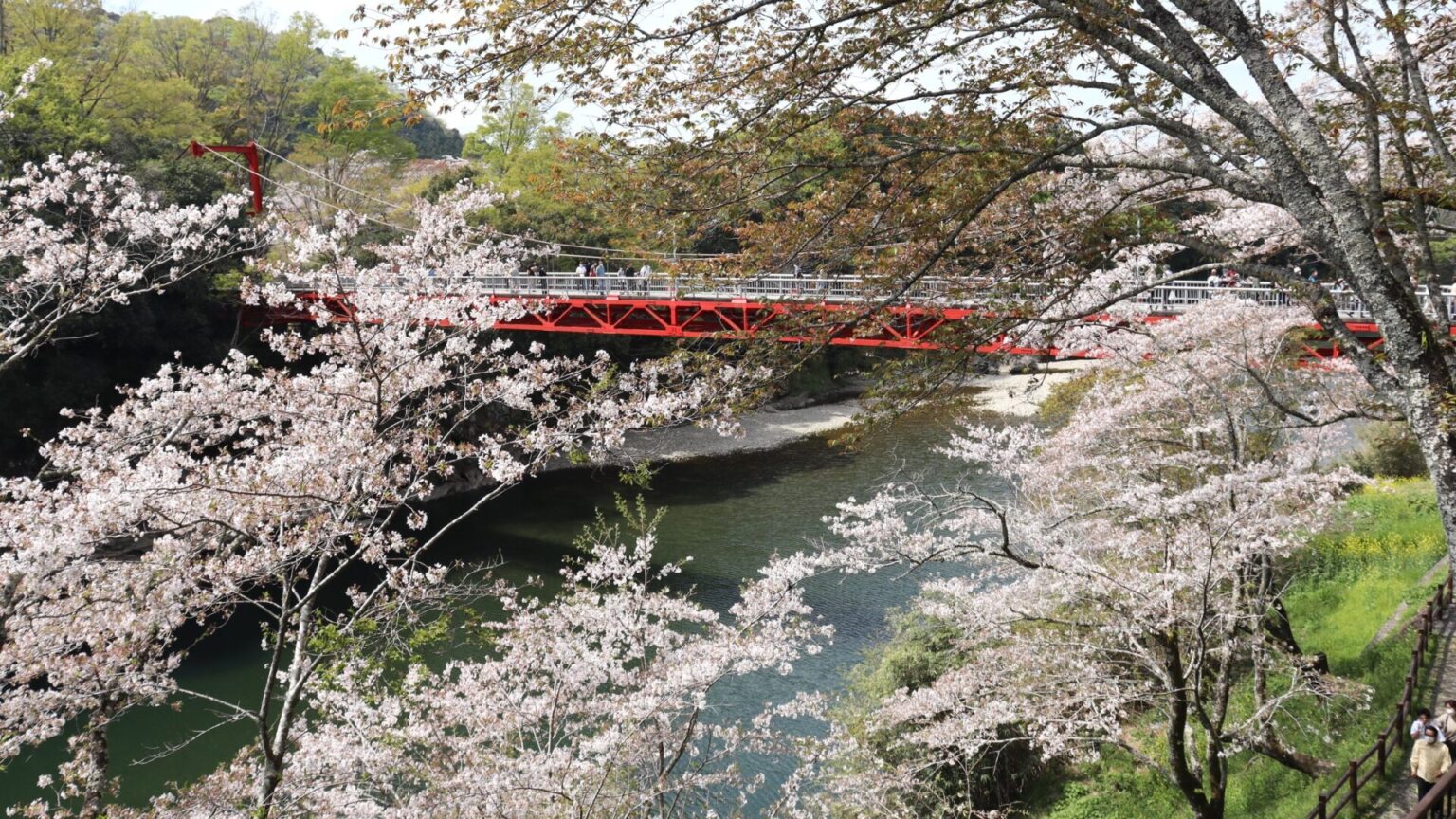 【2025年】新城市の観光スポット12選！自然豊かな人気の名所を満喫 | tabemaro（たべまろ）