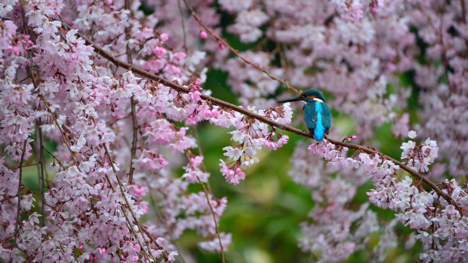 【愛知・名古屋】ノープランでも楽しい！1人旅におすすめの観光スポット17選 | tabemaro（たべまろ）