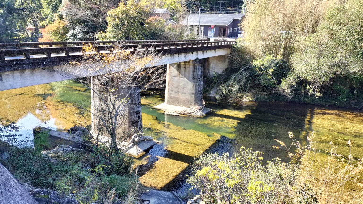自然豊かな「新城市」の魅力！観光スポット5選と絶品ご当地グルメ | tabemaro（たべまろ）