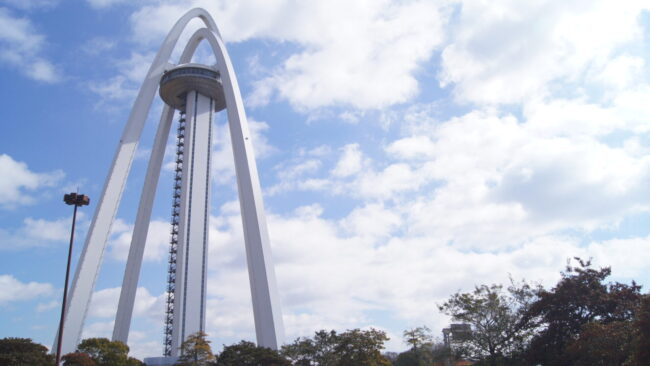 【春編】愛知・名古屋の花畑13選！菜の花や芝桜を楽しもう | tabemaro（たべまろ）