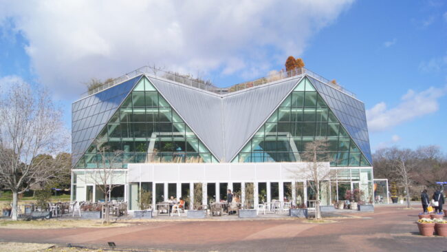 【春編】愛知・名古屋の花畑13選！菜の花や芝桜を楽しもう | tabemaro（たべまろ）