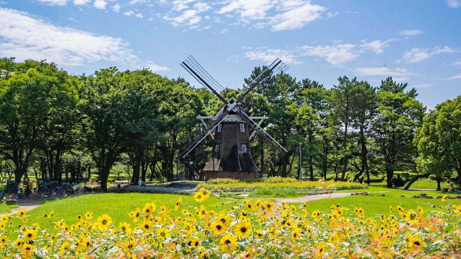 愛知・名古屋の植物園8選！四季折々の植物や花を愛でよう！ | tabemaro（たべまろ）