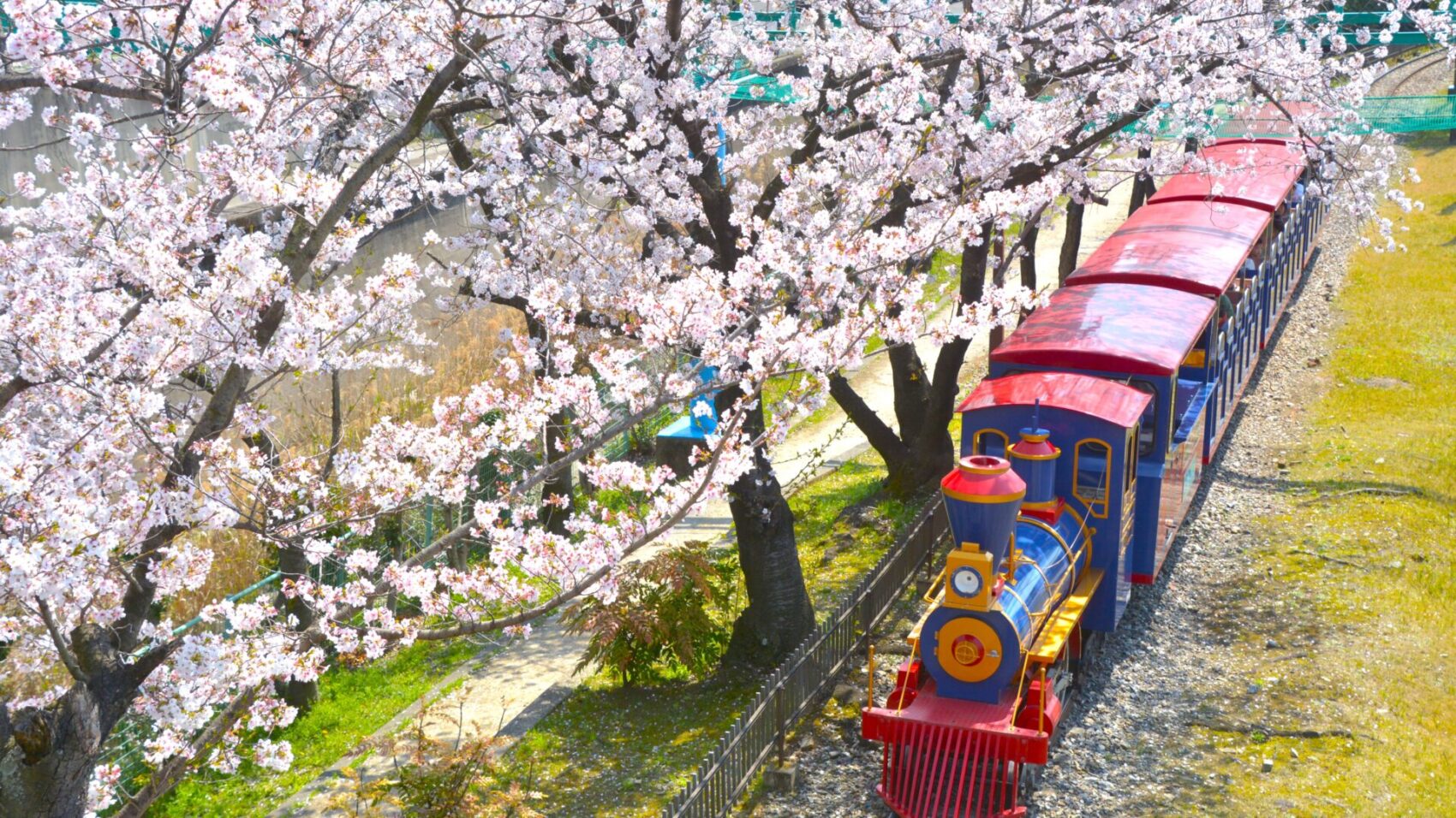 愛知の公園特集！家族でめいっぱい楽しめる無料の遊び場18選 | tabemaro（たべまろ）