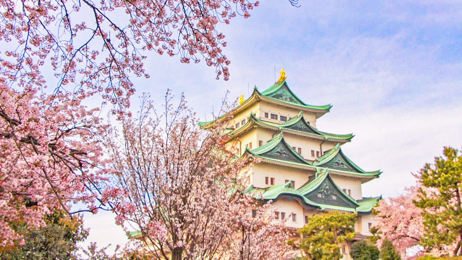 【名古屋】子連れにおすすめの観光スポット12選！家族でおでかけを楽しもう | tabemaro（たべまろ）