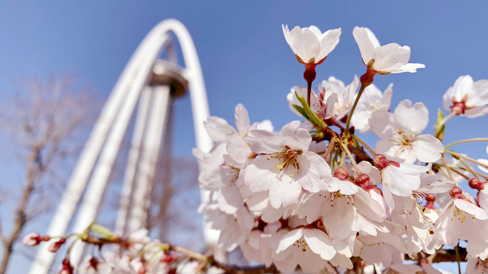 愛知の公園特集！家族でめいっぱい楽しめる無料の遊び場18選 | tabemaro（たべまろ）