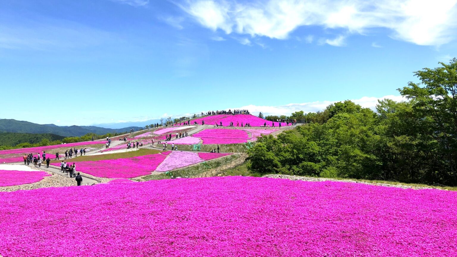 【保存版】愛知県の大自然に癒される絶景観光スポット8選 | tabemaro（たべまろ）