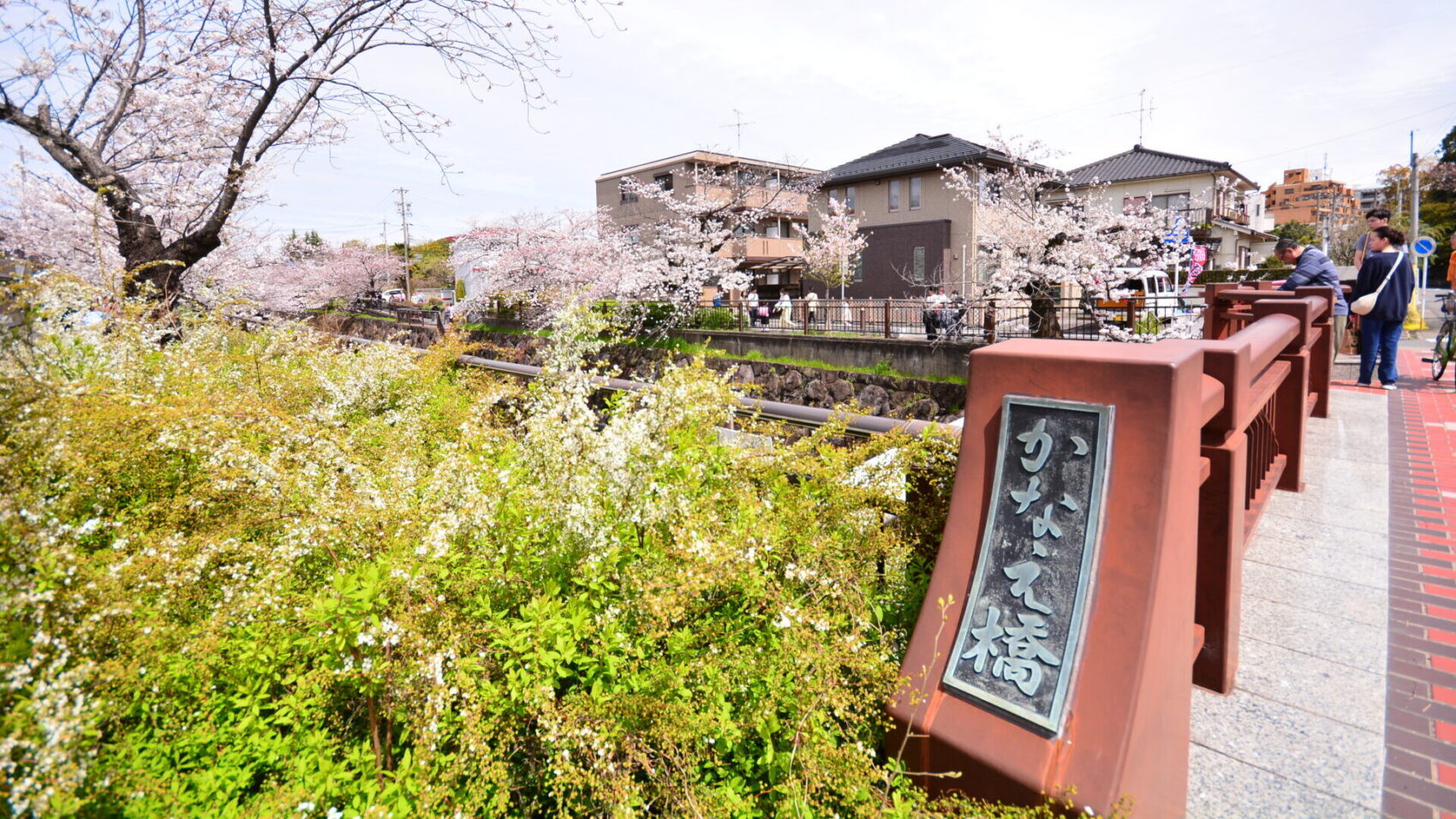 【2025年】名古屋のお花見特集13選！一度は見たい桜名所からゆったり見れる穴場まで | tabemaro（たべまろ）