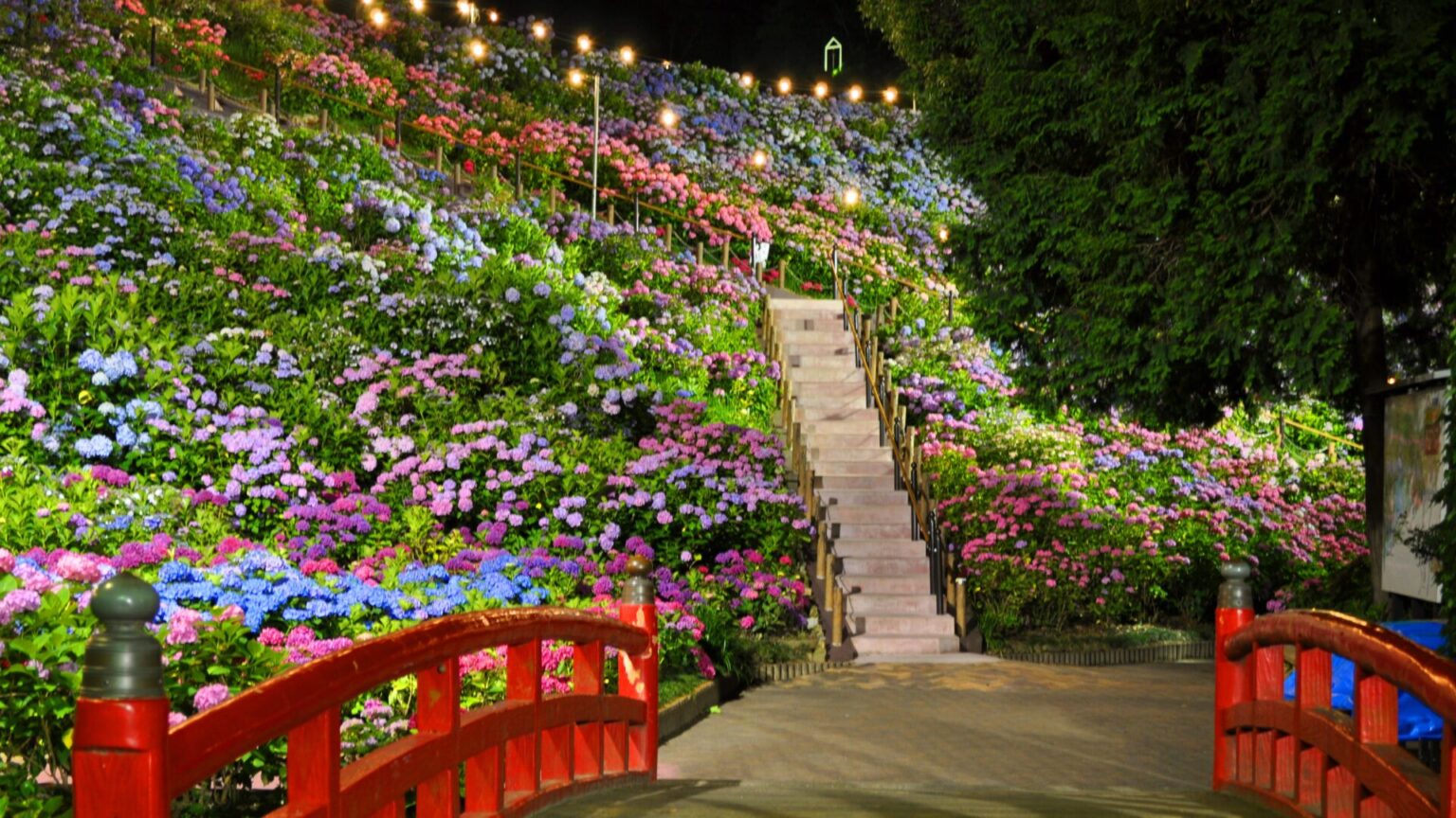 家族もカップルも楽しめる♪2025年6月愛知・名古屋イベントガイド29選 | tabemaro（たべまろ）