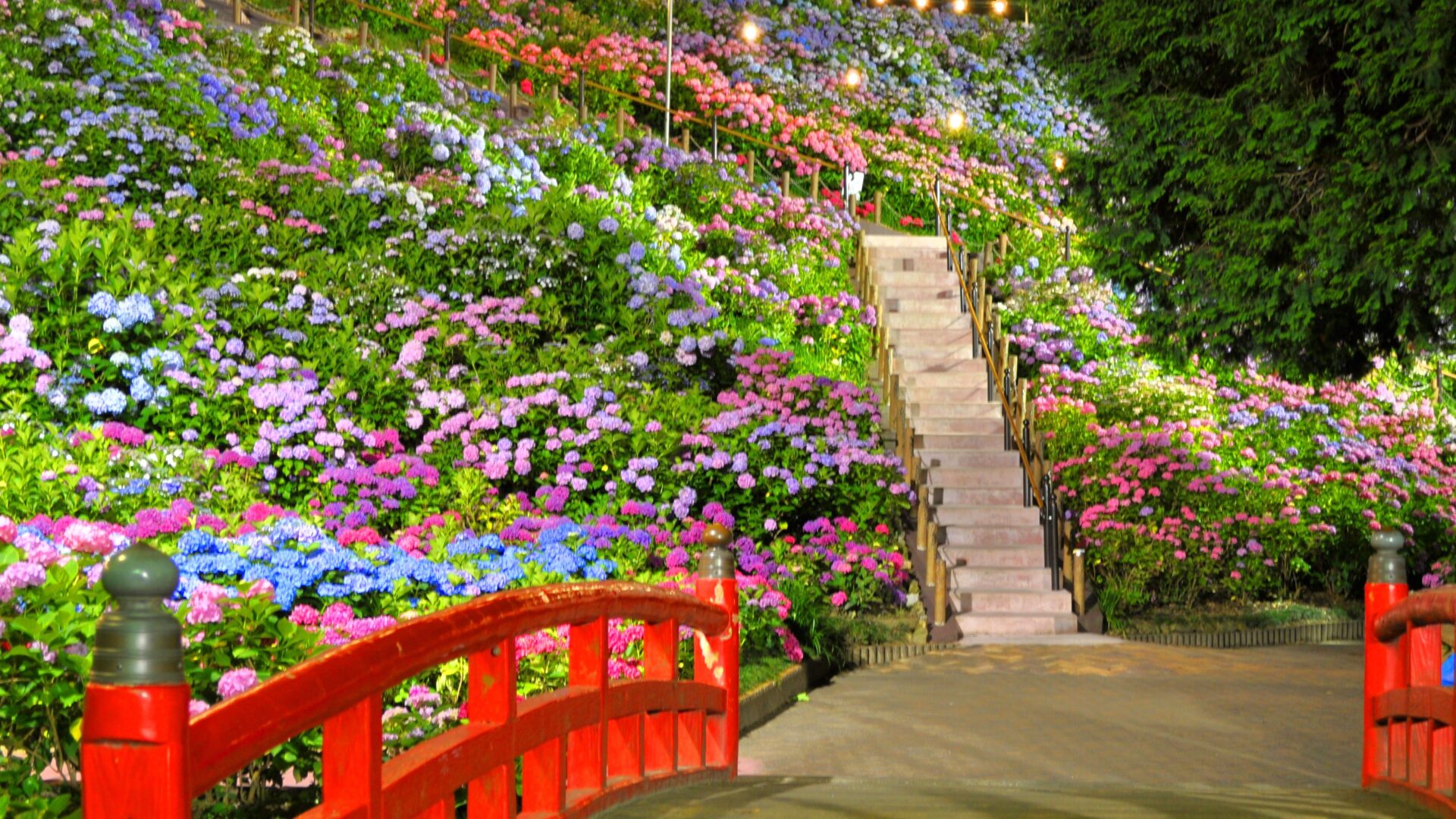 【2025年最新】愛知のあじさい絶景12選！見頃やあじさい祭り情報も必見 | tabemaro（たべまろ）