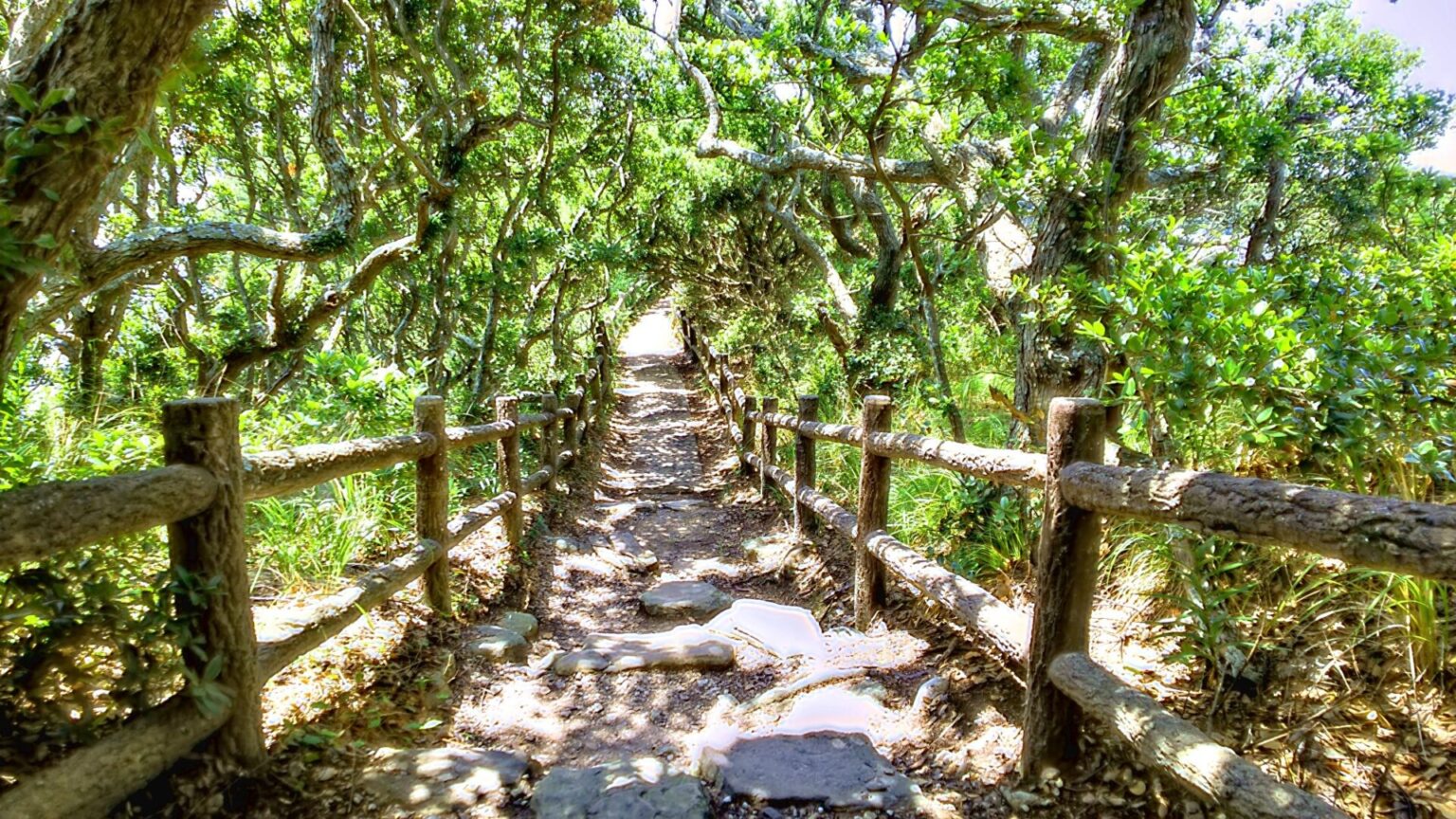 愛知で海辺デート！絶対に行きたいスポット16選 | tabemaro（たべまろ）