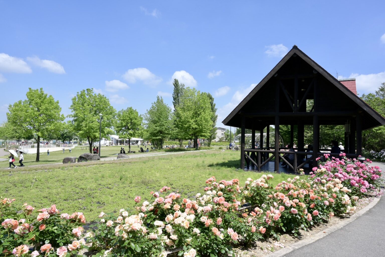 【2025年】愛知・名古屋のバラ園11選！初夏のバラまつりに出かけよう | tabemaro（たべまろ）