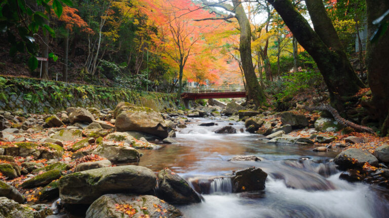 【岡崎観光】岡崎市でデートするなら？大人におすすめしたい観光スポット17選 | tabemaro（たべまろ）