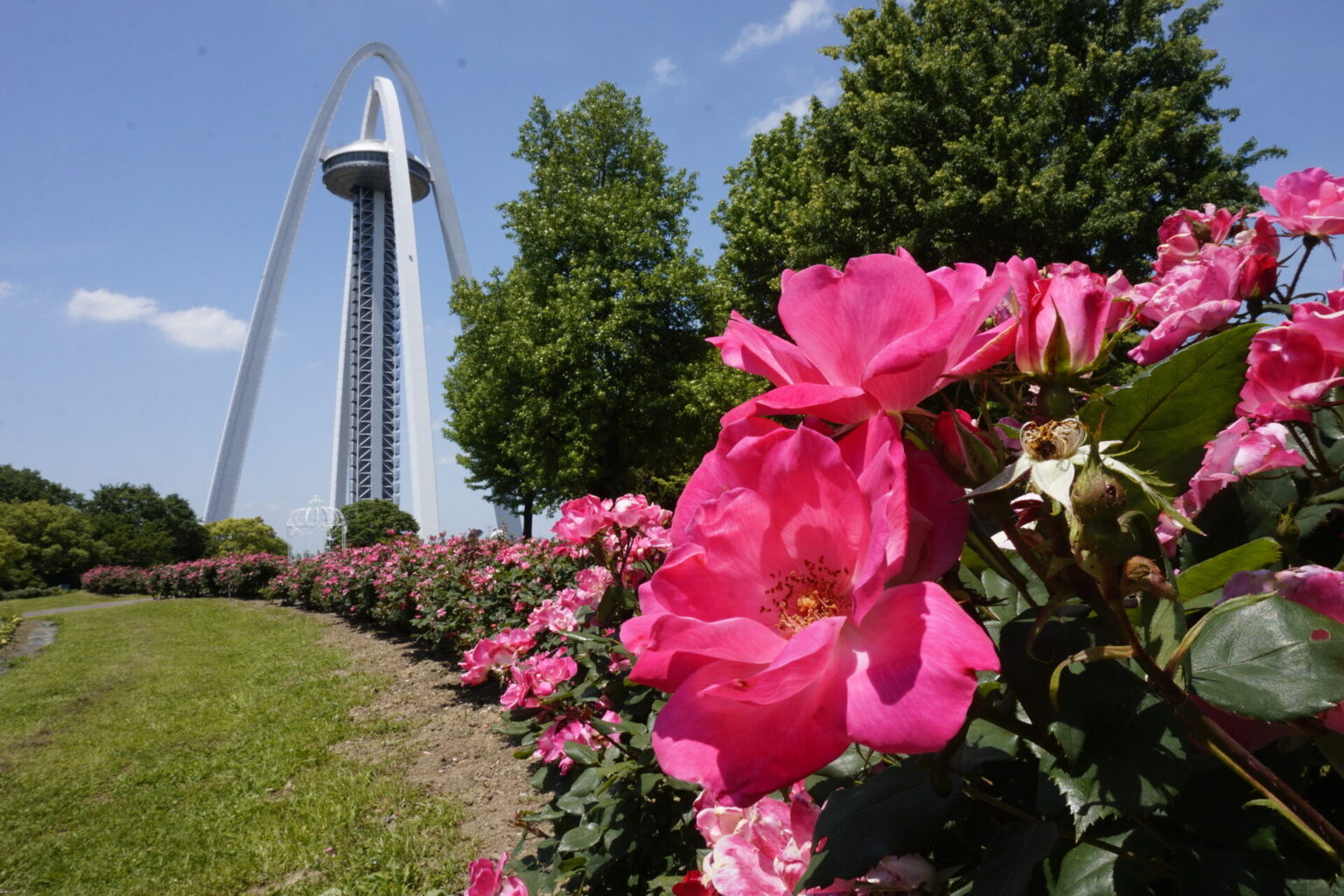 【2025年】愛知・名古屋のバラ園11選！初夏のバラまつりに出かけよう | tabemaro（たべまろ）