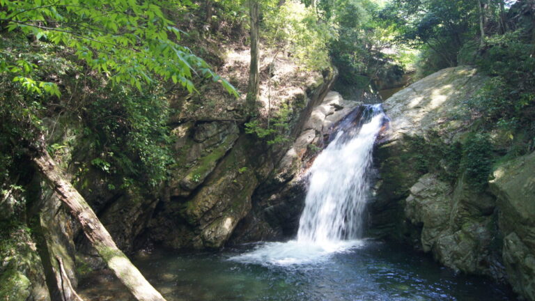 【岡崎観光】岡崎市でデートするなら？大人におすすめしたい観光スポット17選 | tabemaro（たべまろ）