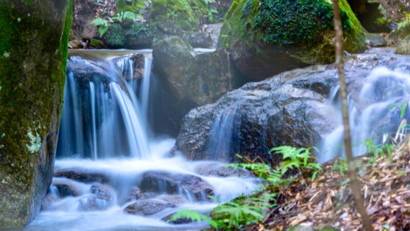 愛知県で滝巡り！新緑に癒される滝の絶景11選 | tabemaro（たべまろ）