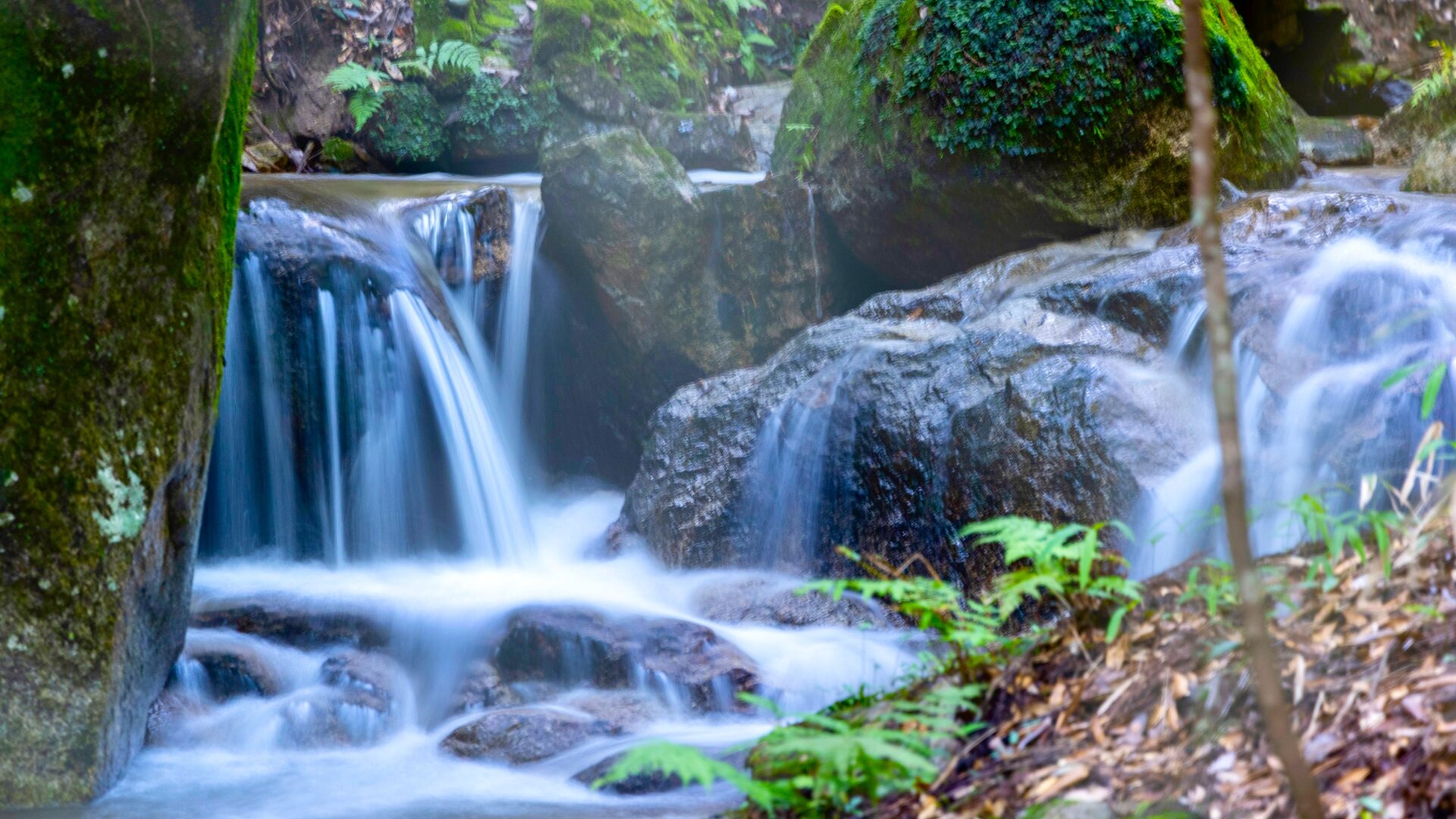 愛知県で滝巡り！新緑に癒される滝の絶景11選 | tabemaro（たべまろ）