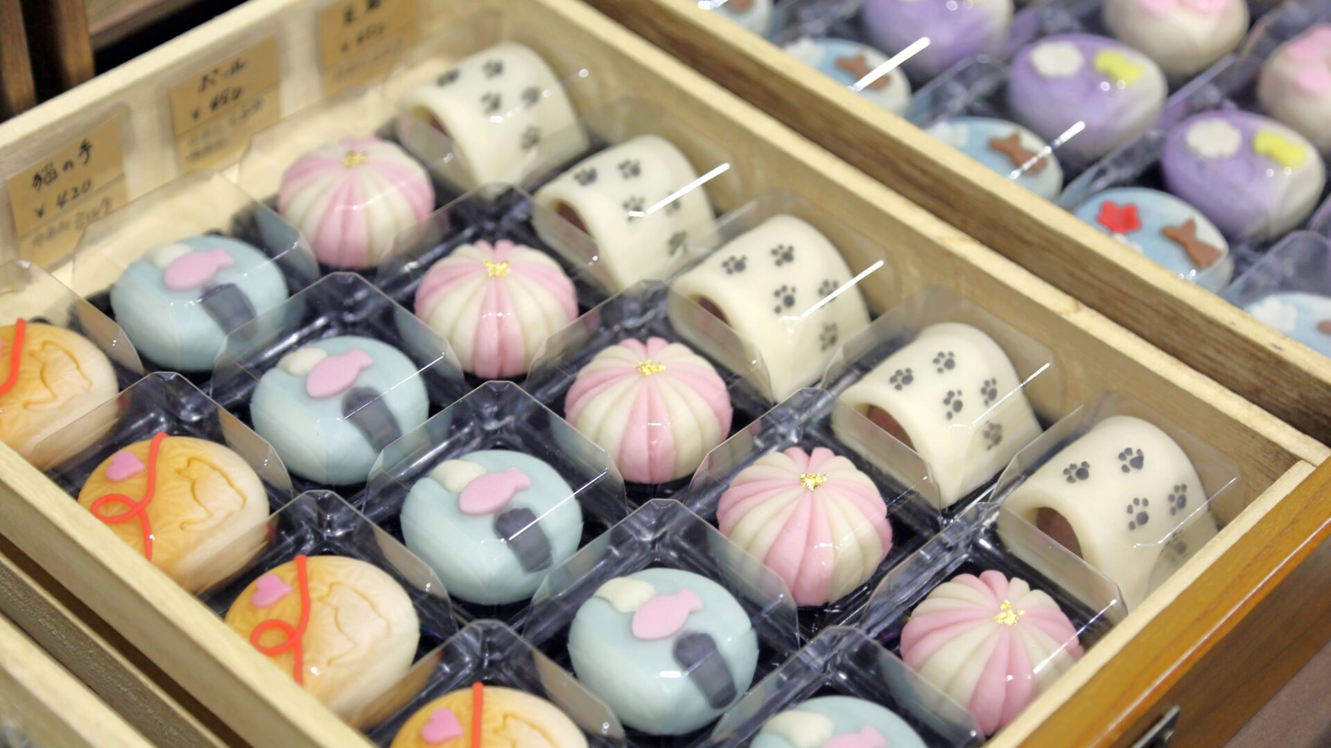 【名古屋・愛知】2024年8月開催のイベントまとめ！夏休みイベントも多数紹介 | tabemaro（たべまろ）