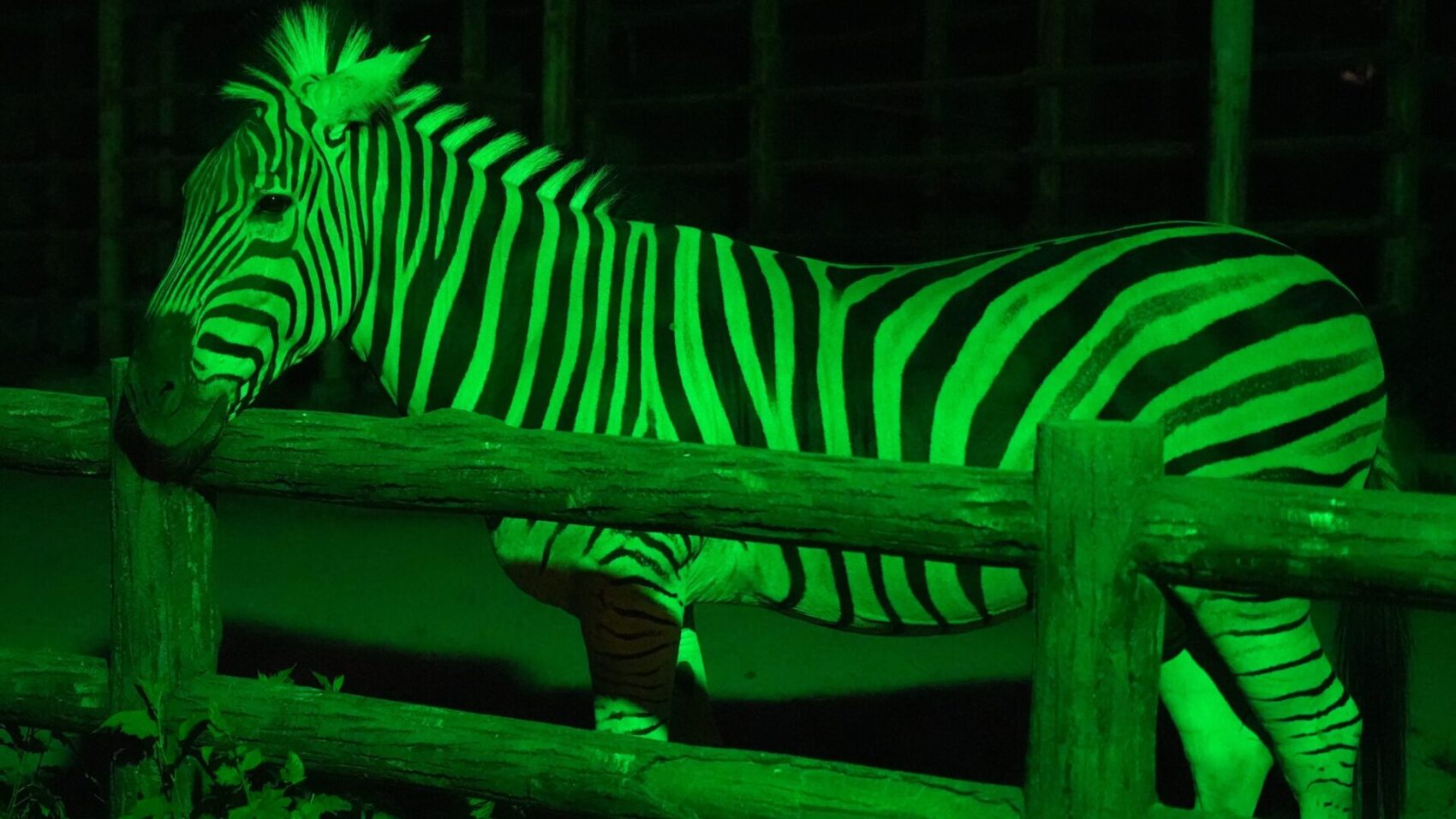 【名古屋・愛知】2024年8月開催のイベントまとめ！夏休みイベントも多数紹介 | tabemaro（たべまろ）