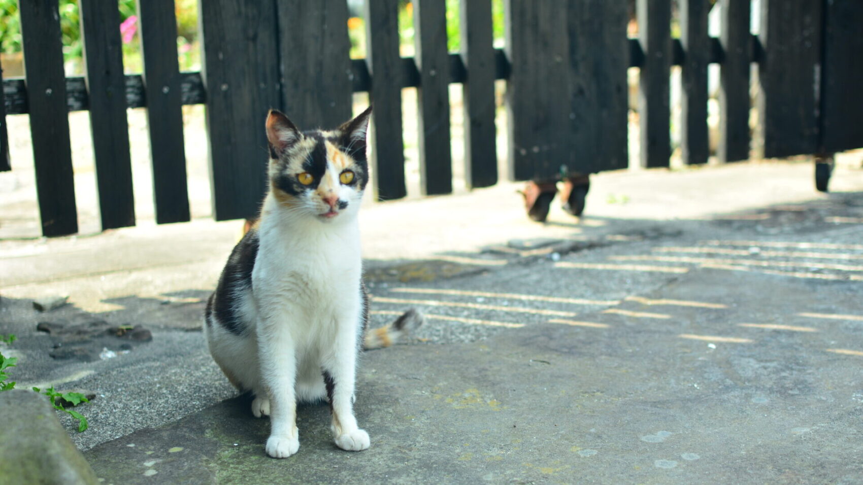 【愛知・名古屋】意外と知らない穴場観光スポット22選！ | tabemaro（たべまろ）