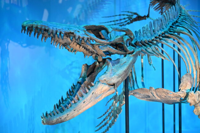 【名古屋・愛知】2024年10月のイベント25選！秋祭りやマルシェイベント多数紹介 | tabemaro（たべまろ）