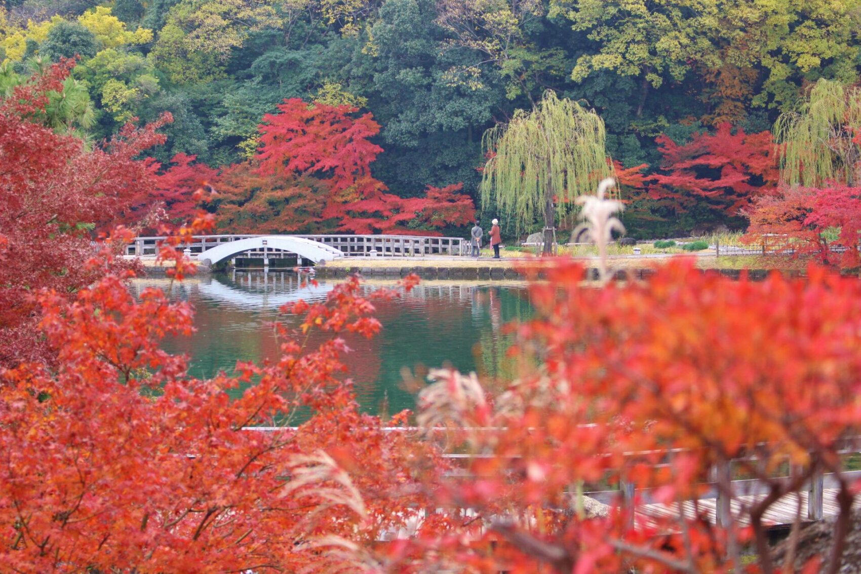 【名古屋・愛知】2024年11月のイベント27選！家族や友人と楽しめるイベントを厳選 | tabemaro（たべまろ）