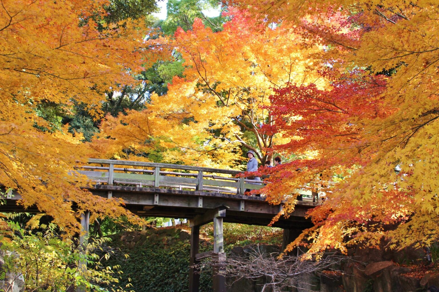 【名古屋・愛知】2024年11月のイベント27選！家族や友人と楽しめるイベントを厳選 | tabemaro（たべまろ）