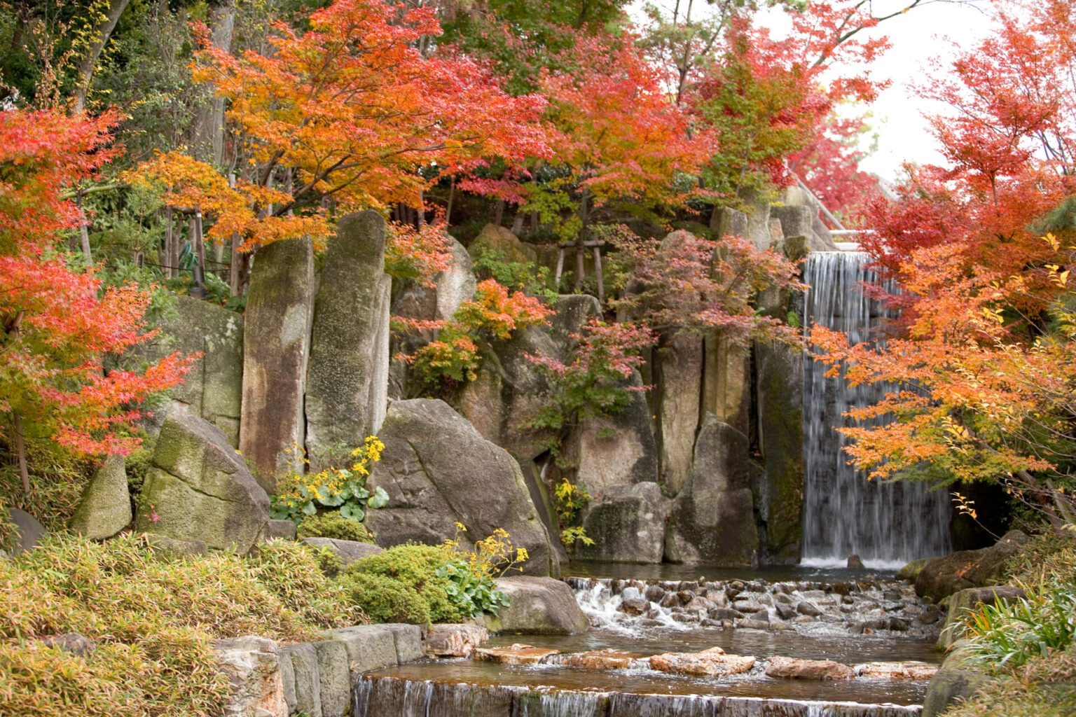 【名古屋・愛知】2024年11月のイベント27選！家族や友人と楽しめるイベントを厳選 | tabemaro（たべまろ）