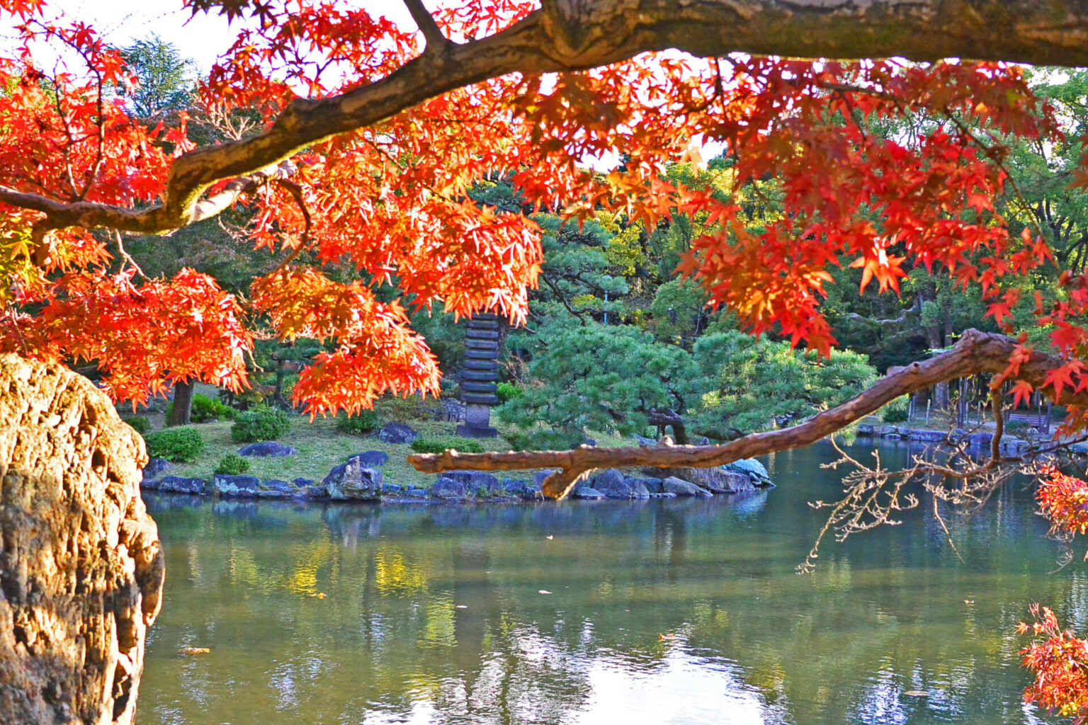 名古屋の厳選紅葉スポット9選！2025年の見頃・ライトアップ・もみじ祭り情報も | tabemaro（たべまろ）