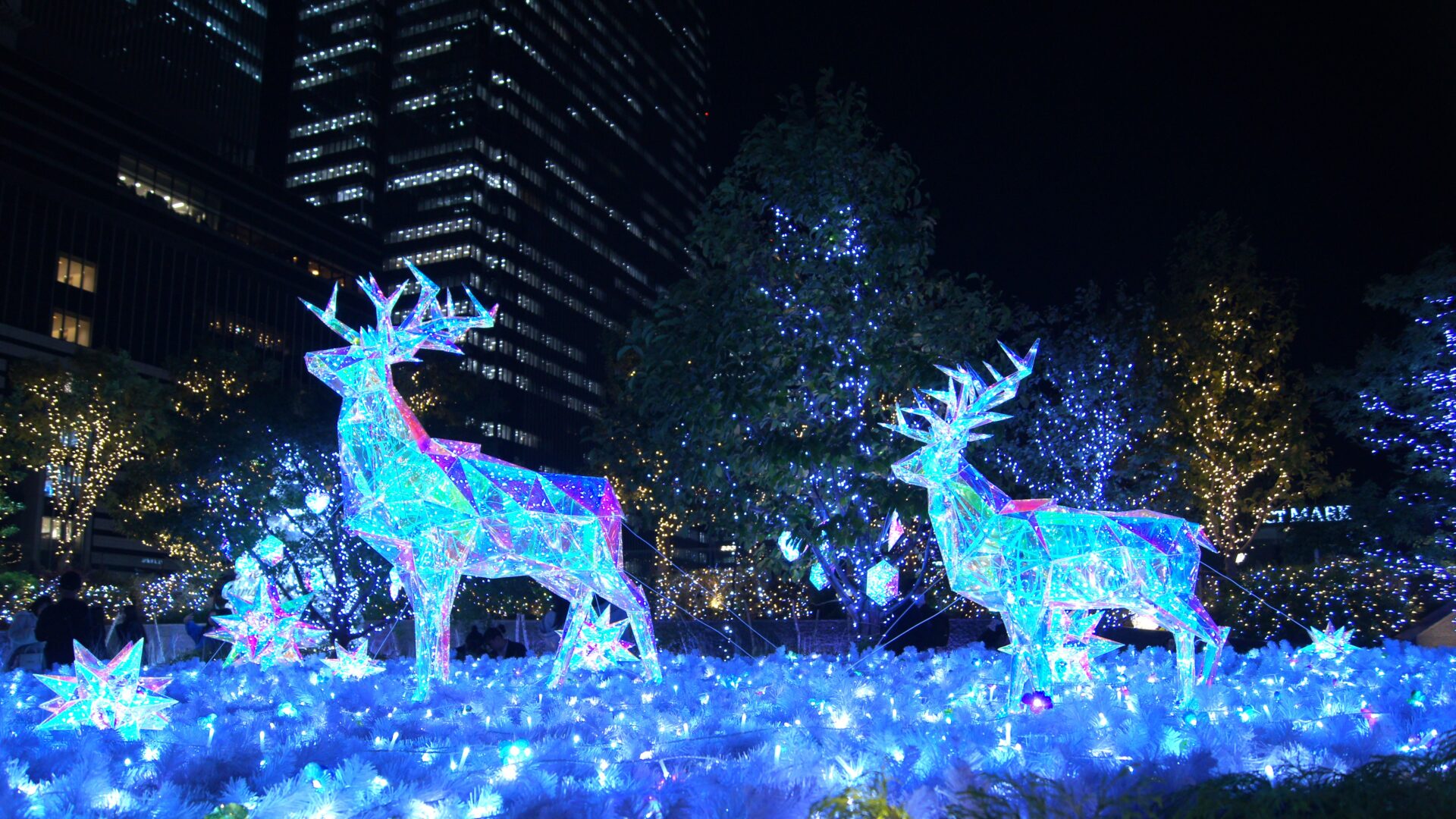 【2024-2025】名古屋のイルミネーションランキングTOP10！クリスマスデートにぴったりのスポットを紹介 | tabemaro（たべまろ）