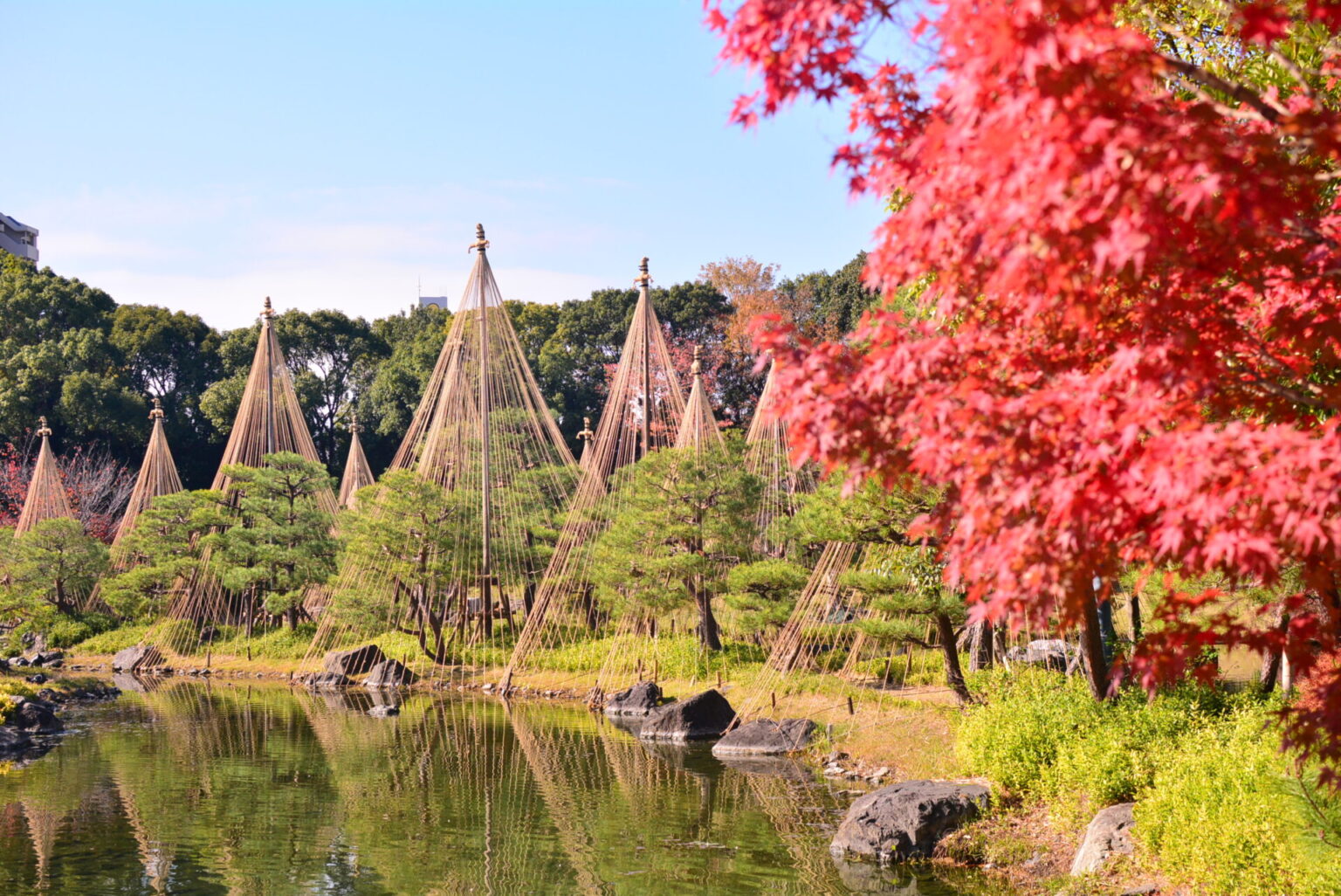 名古屋の厳選紅葉スポット9選！2025年の見頃・ライトアップ・もみじ祭り情報も | tabemaro（たべまろ）