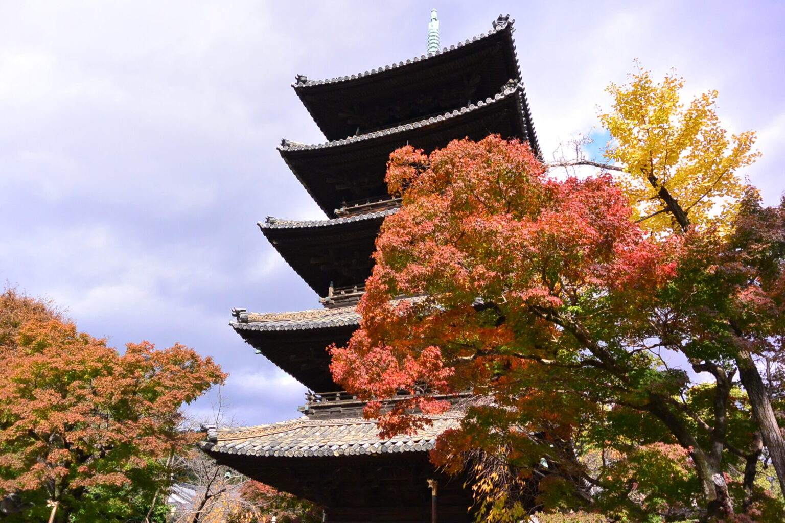 名古屋の厳選紅葉スポット9選！2025年の見頃・ライトアップ・もみじ祭り情報も | tabemaro（たべまろ）