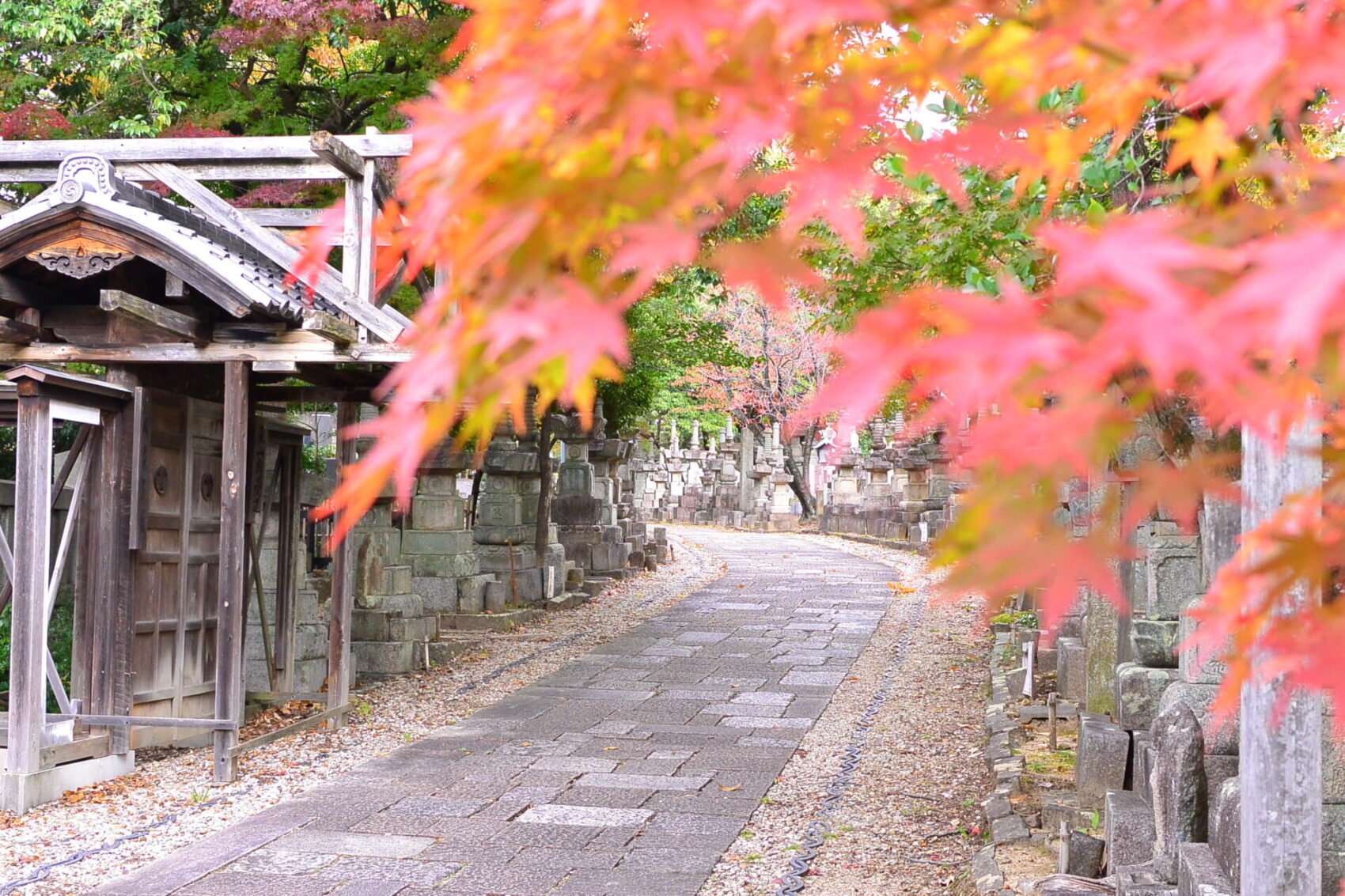 名古屋の厳選紅葉スポット9選！2025年の見頃・ライトアップ・もみじ祭り情報も | tabemaro（たべまろ）