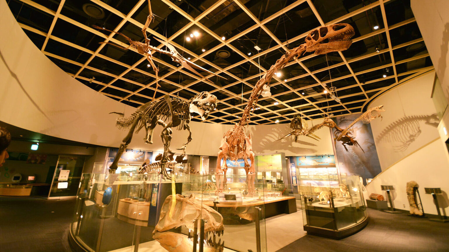 【あいち県民の日・あいちウィーク】無料になる施設15選！2024年はあいちウィークフェスタも開催 | tabemaro（たべまろ）