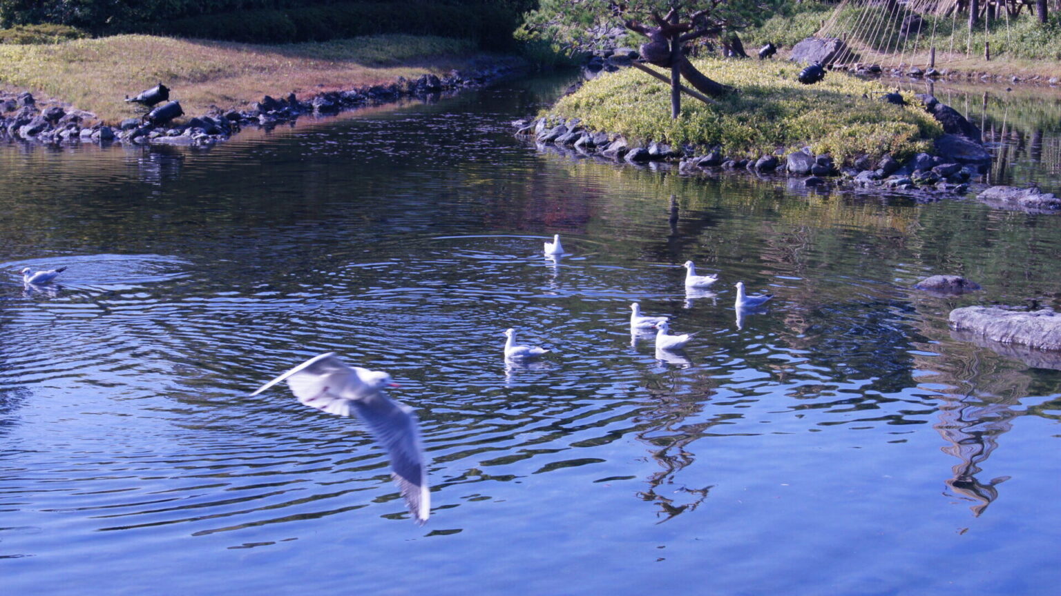 【名古屋・愛知】2026年1月のイベント22選！年末年始のイベントも要チェック | tabemaro（たべまろ）