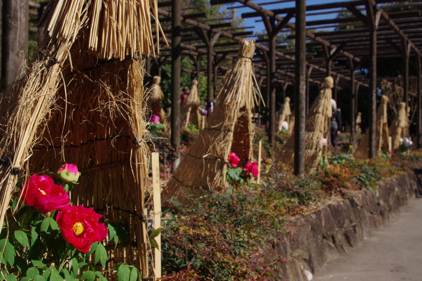 【名古屋・愛知】2025年1月のイベント20選！年末年始のイベントもチェック | tabemaro（たべまろ）