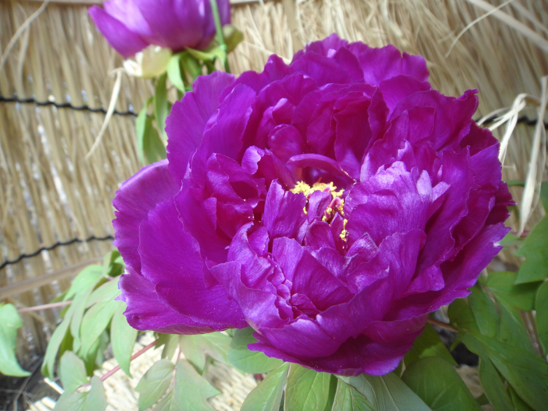 【名古屋・愛知】2025年1月のイベント20選！年末年始のイベントもチェック | tabemaro（たべまろ）